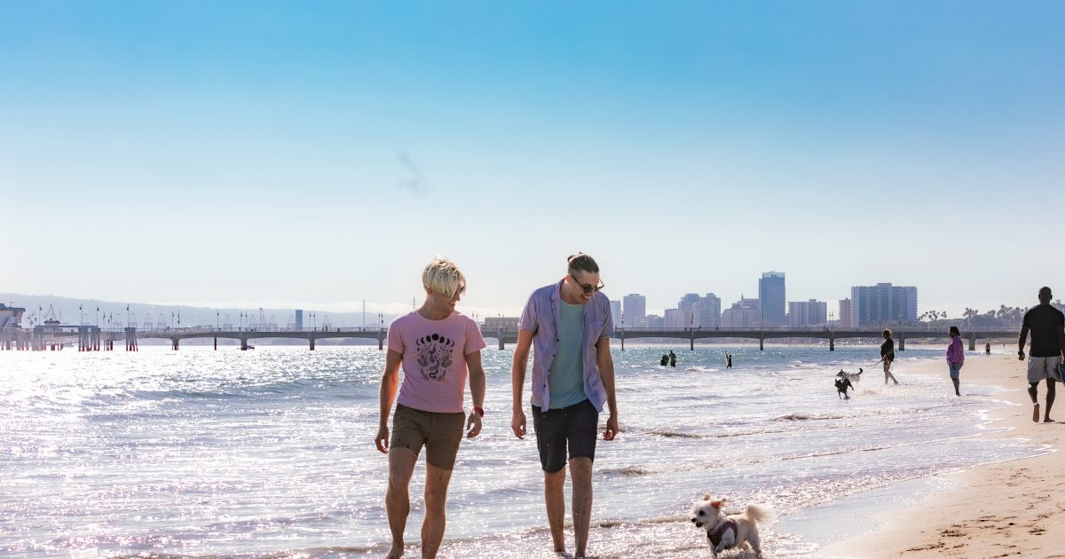 Dogs’ Day Out | Visit Long Beach