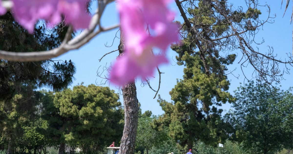 Long Beach Golf Guide | Visit Long Beach