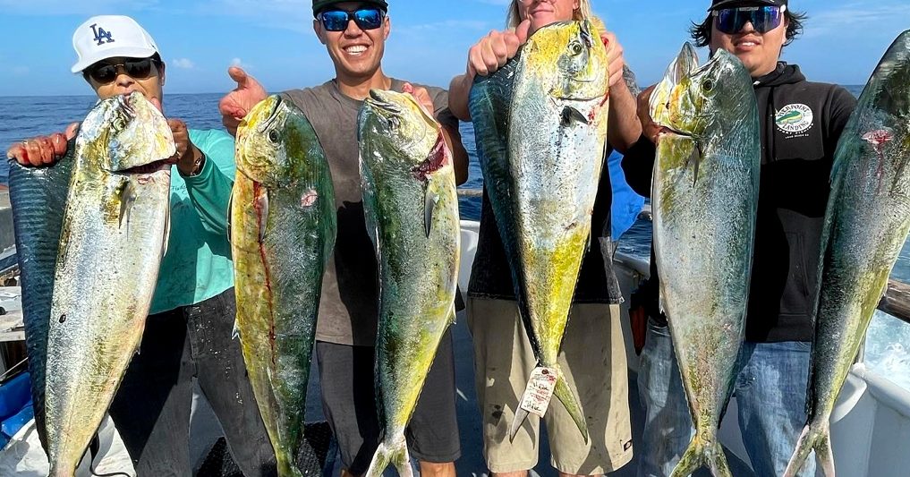 Sport Fishing in Long Beach | Visit Long Beach