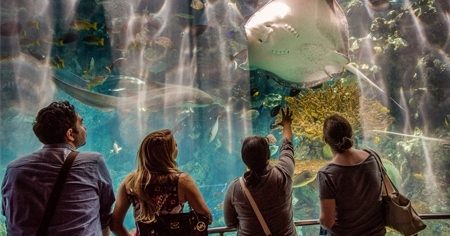 Things To Do - Long Beach, CA Convention & Visitors Bureau | Visit Long ...